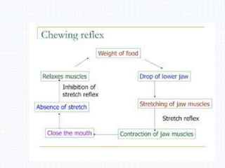 01-GIT Introduction.ppt