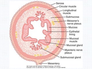 01-GIT Introduction.ppt | Free Download