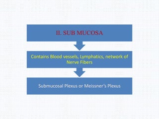 01-GIT Introduction.ppt