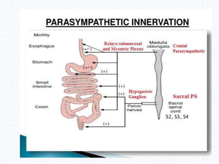 01-GIT Introduction.ppt | Free Download