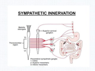 01-GIT Introduction.ppt