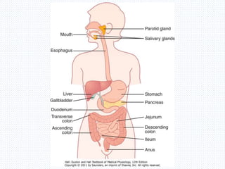 01-GIT Introduction.ppt