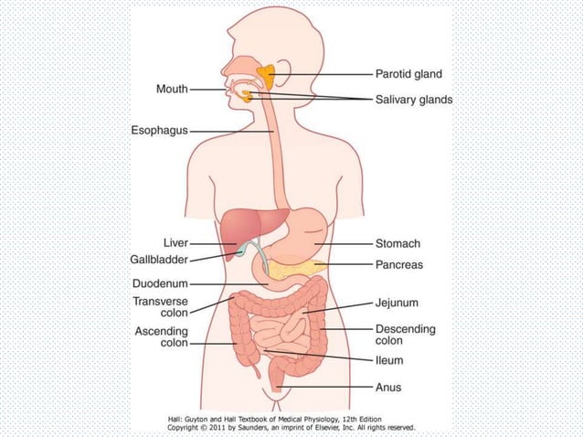 01 Git Introductionppt Free Download