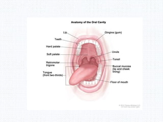 01-GIT Introduction.ppt