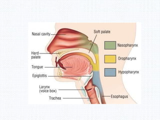 01-GIT Introduction.ppt | Free Download