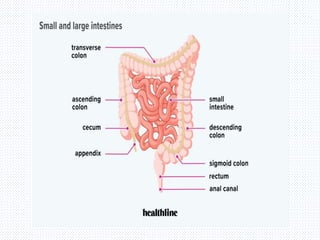 01-GIT Introduction.ppt | Free Download
