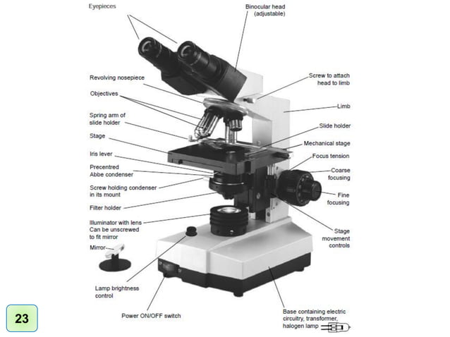 Introduction to haematology laboratory | PDF
