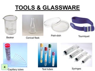 Introduction to haematology laboratory | PDF
