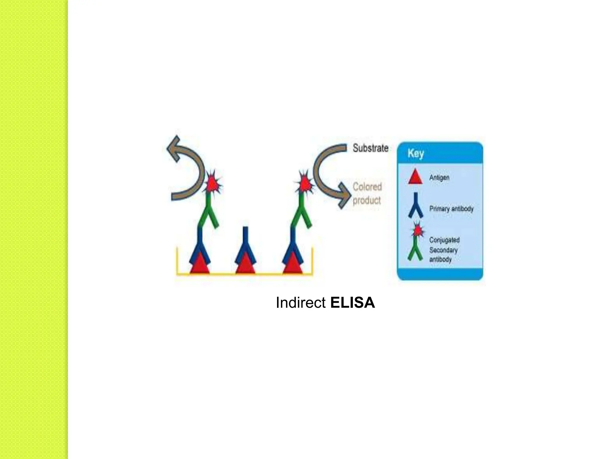 01- Insulin ELISA AFM STUDY MATERIAL.pptx