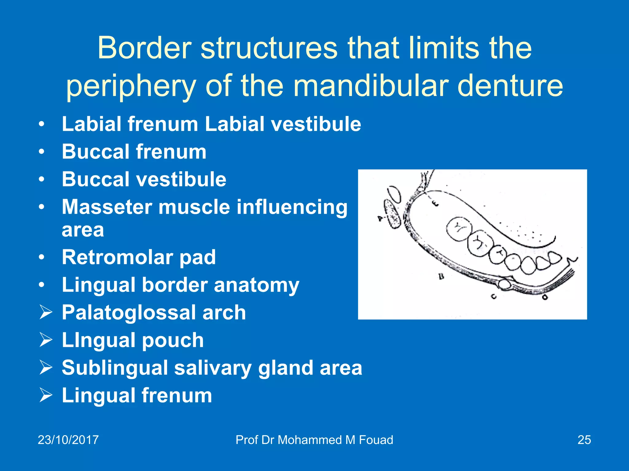 Intraoral Anatomical Landmarks | PDF
