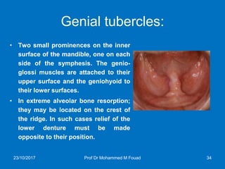 Intraoral Anatomical Landmarks | PDF