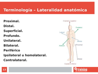 Introducción a la anatomía | PPT