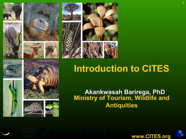 Introduction to CITES | PPT | Pets
