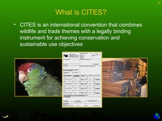 Introduction to CITES | PPT