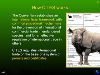 Introduction to CITES | PPT