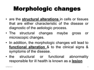 01 - Introduction to Pathology.pptx