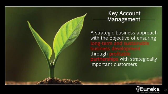 Key Account Management | PPTX