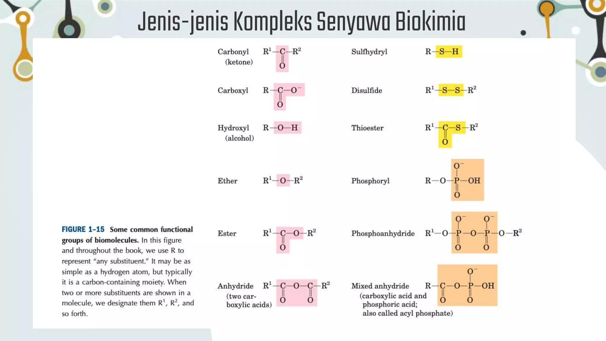 Biokimia Gizi 01: Konsep Dasar Metabolisme Zat Gizi.pptx