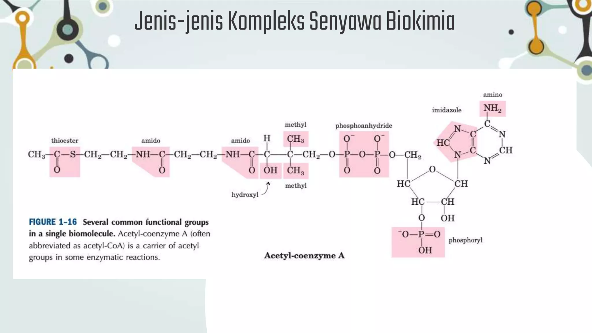 Biokimia Gizi 01: Konsep Dasar Metabolisme Zat Gizi.pptx