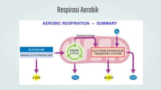 Biokimia Gizi 01: Konsep Dasar Metabolisme Zat Gizi.pptx