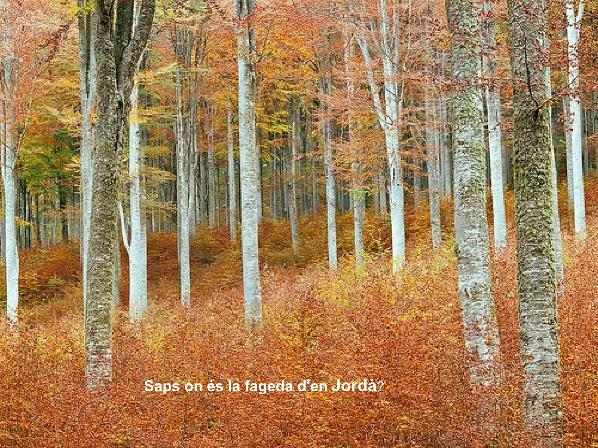 01. la fageda d'en jordà.ok