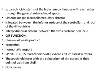 01-Lecture .NeuroAnatomy of Meninges of brain and spinal cord | PPT