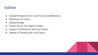 01 - LOW VISION - Introduction to Blindness and Low Vision.pptx | Eye ...