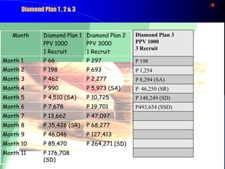 01 marketing plan for financial freedom | PDF