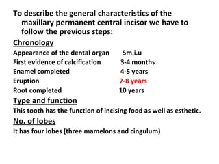 a super explanment 01- Maxillary central incisors | PPTX | Dental ...