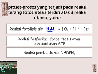 Metabolisme fotosintesis | PPT