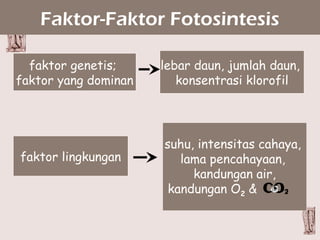 Metabolisme fotosintesis | PPT