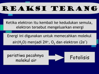 Metabolisme fotosintesis | PPT