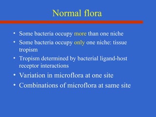01-Normal Flora Update (Girls College MAC 221).ppt