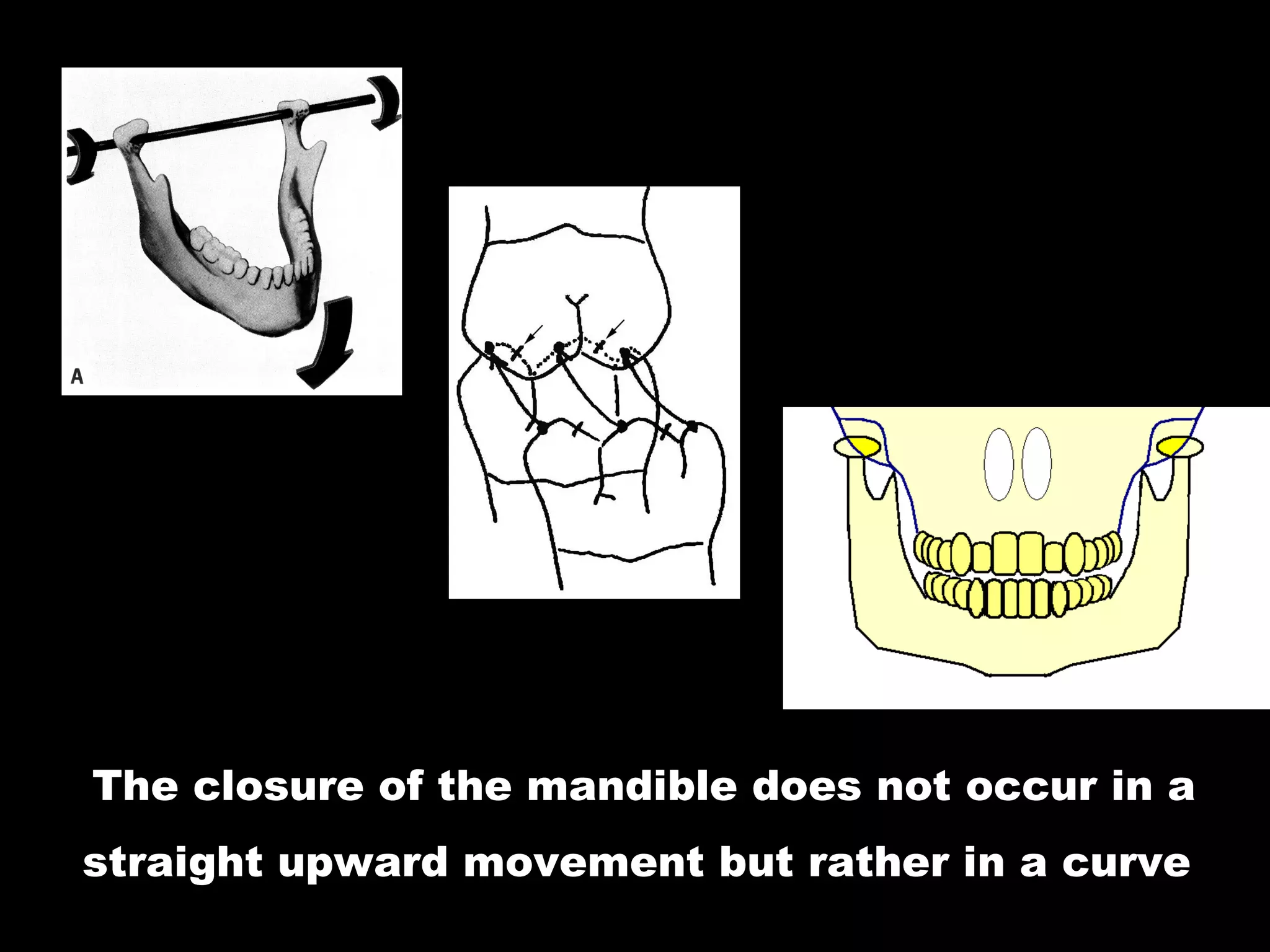 01 occlusion in prosthodontics introduction - stomatognathic system ...