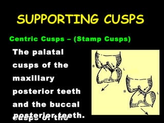 01 occlusion in prosthodontics introduction - stomatognathic system ...
