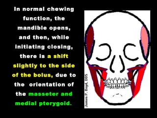 01 occlusion in prosthodontics introduction - stomatognathic system ...