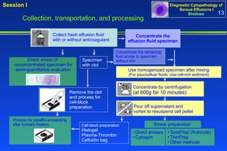 01 Presentation I VS (8-55MB)- (3-28-08).pps