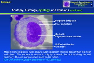 01 Presentation I VS (8-55MB)- (3-28-08).pps