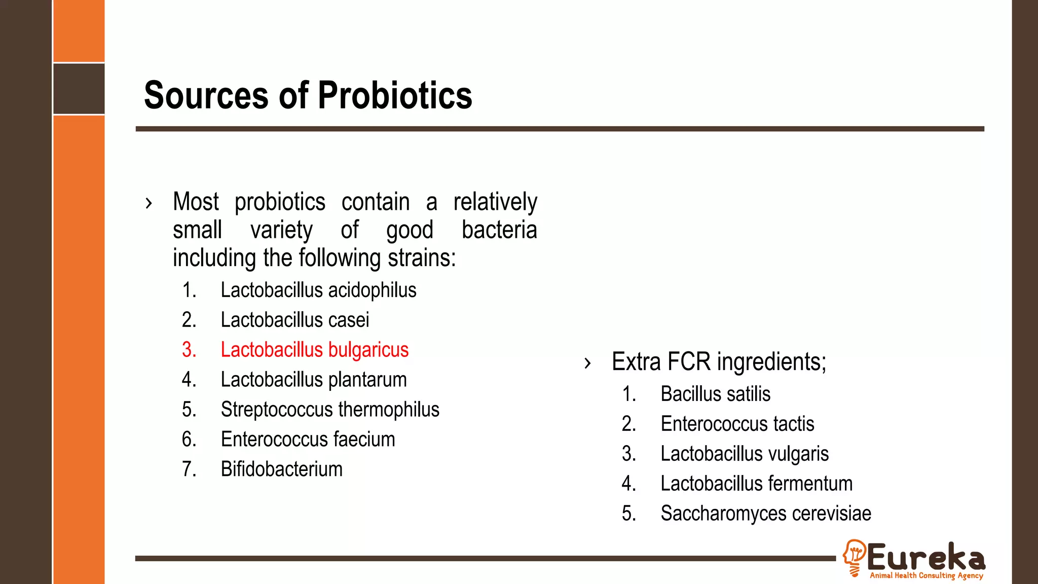 Probiotics Basic Introduction | PPTX