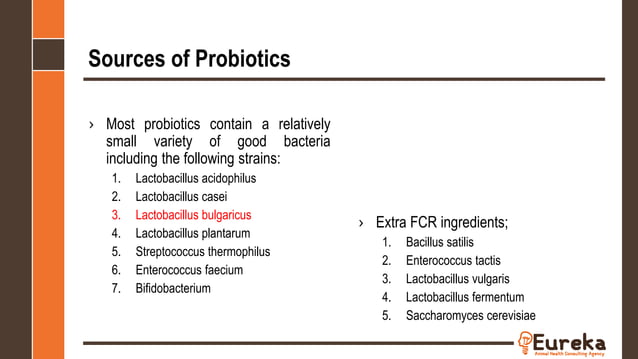 Probiotics Basic Introduction | PPT