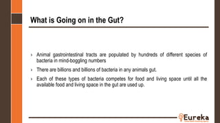 Probiotics Basic Introduction | PPT