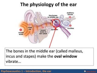 Psychoacoustics 1: Introduction, the ear | PDF