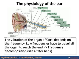 Psychoacoustics 1: Introduction, the ear | PDF