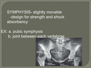 01 radiographic-positioning | PPT