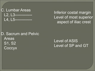 01 radiographic-positioning | PPT