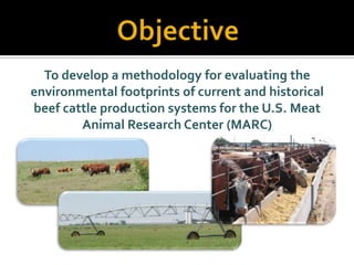 Environmental Footprints of Beef Produced At the U.S. Meat Animal ...
