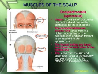 01-Scalp anatomy surgery managment of injury | PPT