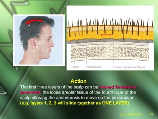 01-Scalp anatomy surgery managment of injury | PPT