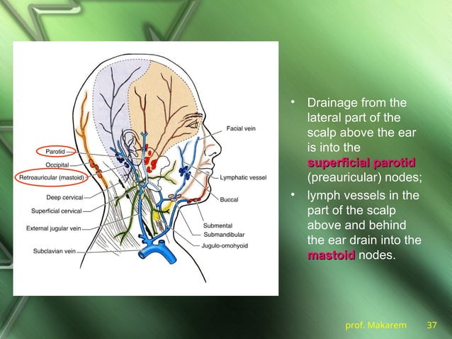 01-Scalp anatomy surgery managment of injury | PPT
