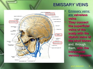01-Scalp anatomy surgery managment of injury | PPT